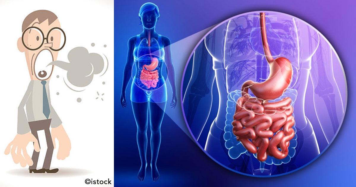 ¿Eructos frecuentes? Puedes padecer uno de estos 8 males - Va a gustarme