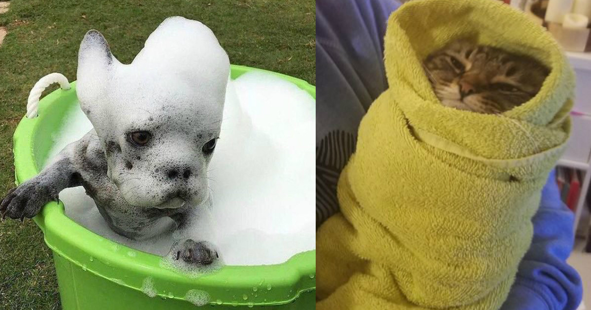 39 Pictures That Will Make You Say ‘Awwww!’ - Small Joys