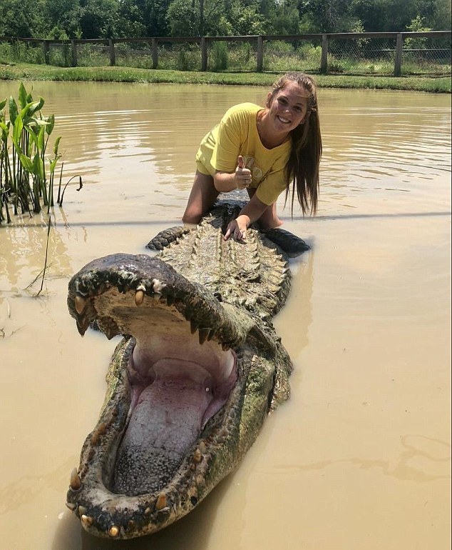 21-Year-Old A&M Senior Poses Up With Best Friend 14-Foot Alligator For ...