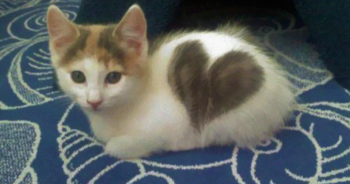 21 Times Animals Got Unusual Colors From Nature, and the Results Seem ...