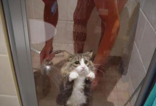 21 Strange Images That Cannot Be Explained - Small Joys 21 Strange Images That Cannot Be Explained - Small Joys