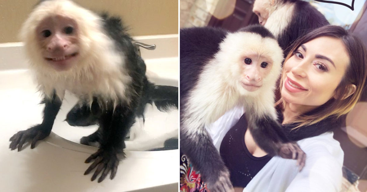 Woman - Who Treats Her Pet Monkey As Her Baby - Says She Is Unable To ...