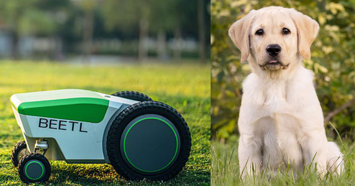 This Robot Detects And Cleans Up Dog’s Mess Using Cameras And Sensors ...