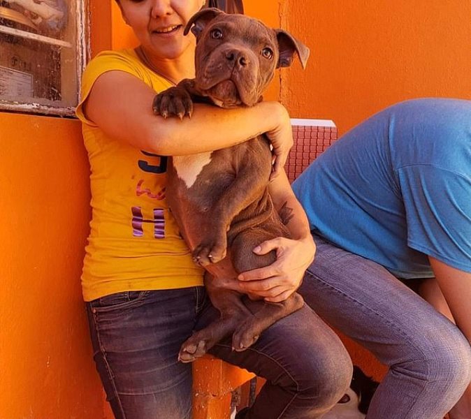 12 Year Old Boy Left His Puppy Outside A Shelter Along With A 12-year-old-boy-left-his-puppy-outside-a-shelter-along-with-a