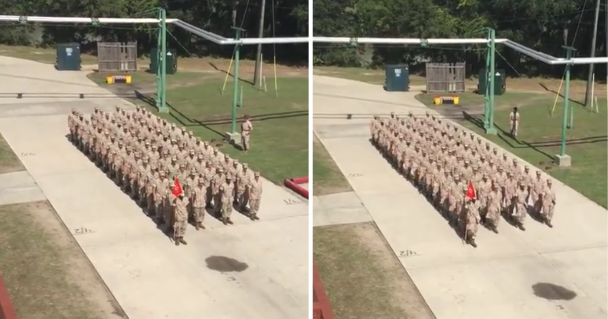 Group of Soldiers Performs Flawless Trick Drill Movements - Small Joys