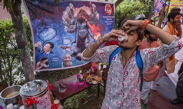 Hundreds Of Indians Attended Cow Urine Drinking Party In An Attempt To