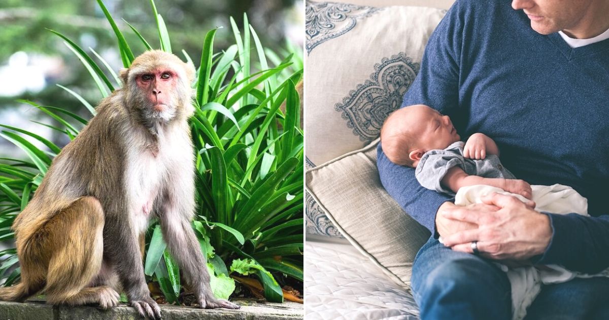Story of Richard Ramirez Teeth That Won't Let You Sleep Tonight